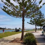 Mandurah: Big Toot 30 mins scenic tour - Practical Tips for Visiting