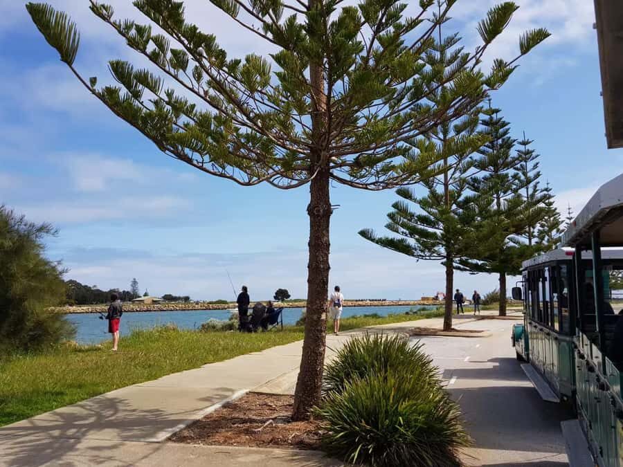Mandurah: Big Toot 30 mins scenic tour - Practical Tips for Visiting