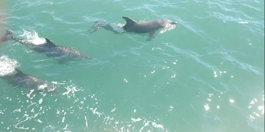 Mandurah Pirate Cruise - The Itinerary and Sights