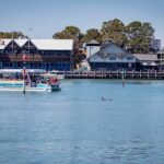 Mandurah: Sightseeing Dolphin Cruise with Tour Guide - Why This Tour Offers Great Value