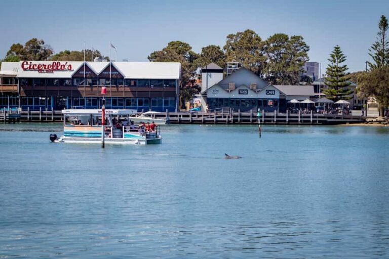 Mandurah: Sightseeing Dolphin Cruise with Tour Guide - Why This Tour Offers Great Value