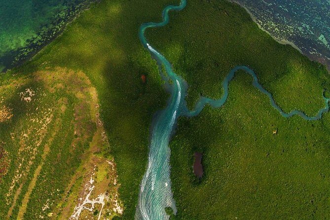 Mangrove and Lagoon Speed Boat Tour - Authentic Experiences from Reviews