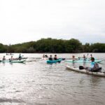 Mangrove Kayaking Tour - The Wildlife and Scenic Highlights