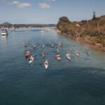 Mangroves and Mansions Guided Kayak Tour on the Noosa River - Practical Information: What to Expect