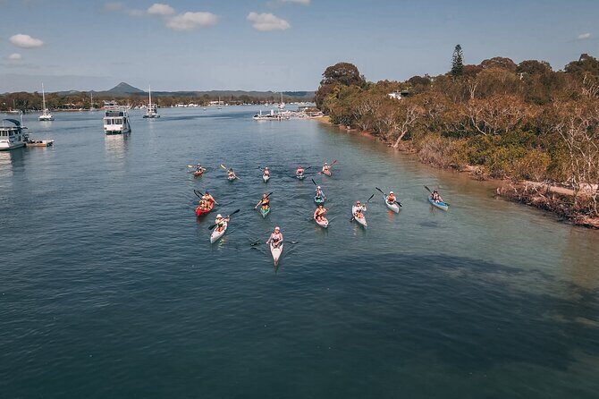 Mangroves and Mansions Guided Kayak Tour on the Noosa River - Practical Information: What to Expect