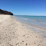 Mangroves & Beaches: Hiking Tour of Balandra, La Paz - The Experience: Pros and Cons