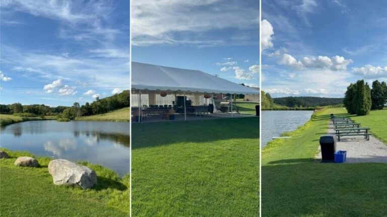 Manhattan: Millbrook Vineyards & Winery Private Tour - The Itinerary Breakdown