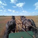 Manitoba: Horse-Drawn Wagon Ride in Spruce Woods Park - Who Should Consider This Tour?