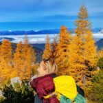 Manning Park: The Quest for the Golden Larch Tree - Why This Tour Offers Great Value