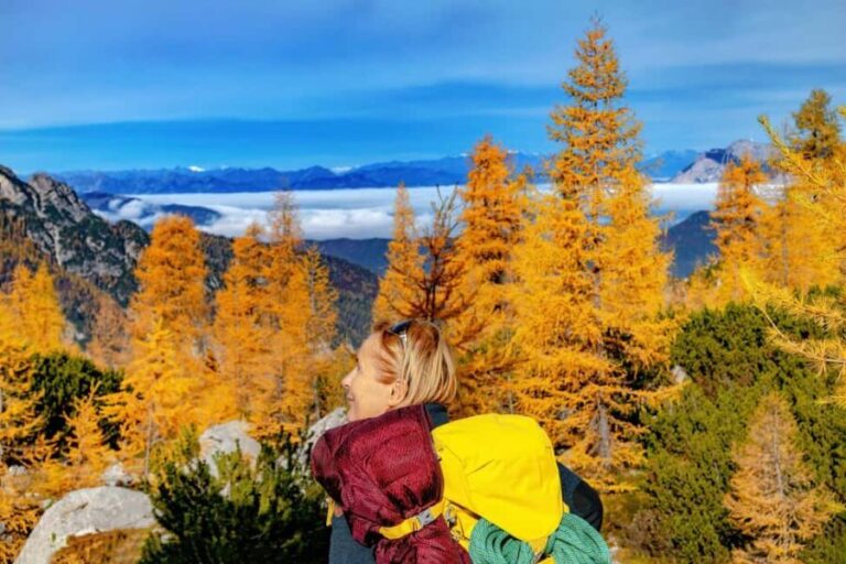 Manning Park: The Quest for the Golden Larch Tree - Why This Tour Offers Great Value