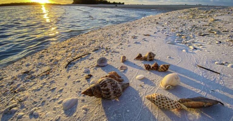 Marco Island: 2 Private Hour Sunset Boat Tour - What You Can Expect on the Tour