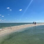Marco Island Private Tubing, Dolphin Watching and Shelling Tour - Who Would Enjoy This Tour?