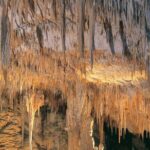 Margaret River, Caves, Wine and Cape Leeuwin Lighthouse Tour from Perth - The Transport and Timing