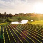 Margaret River, Chocolate, Wine & Coast Day Trip from Perth - Practicalities and What You Need to Know