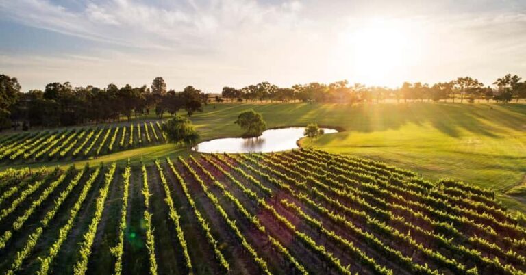 Margaret River, Chocolate, Wine & Coast Day Trip from Perth - Practicalities and What You Need to Know