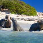 Margaret River Day Tour With Wildlife Cruise & Wine Tasting - Transportation and Group Size