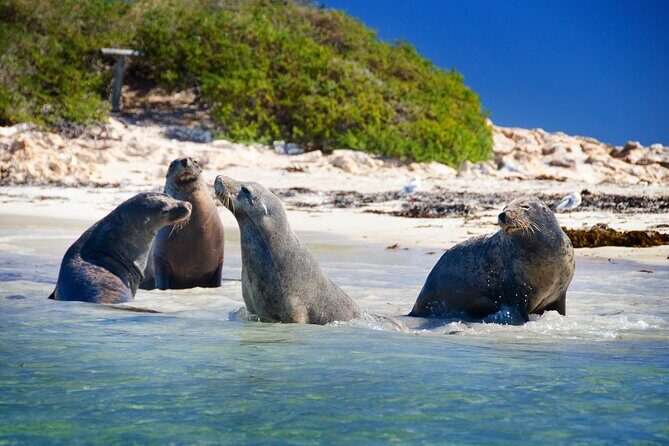 Margaret River Day Tour With Wildlife Cruise & Wine Tasting - Transportation and Group Size