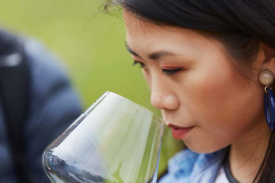 Margaret River: Full-Day Wine Tour - A Taste of the Margaret River Region