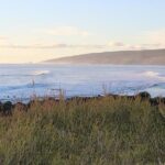 Margaret River Indulge and Discover Day Tour - The Practical Side: What to Expect