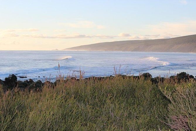 Margaret River Indulge and Discover Day Tour - The Practical Side: What to Expect