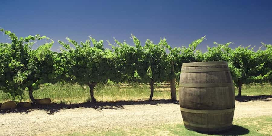 Margaret River Private Day Tour from Perth - Practical Details and What to Expect