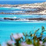 Margaret River Wine and Sights Discovery Tour from Busselton or Dunsborough - Final Thoughts