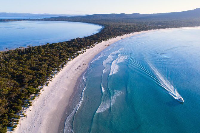 Maria Island Cruise and Guided Walk Day Tour with Lunch and Drinks - FAQs