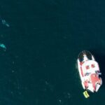 Marietas Islands National Park: Full Day ALL INCLUSIVE Tour - Who Is This Tour Best For?