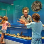 Marine Discovery Centre - What to Expect: A Step-by-Step Breakdown