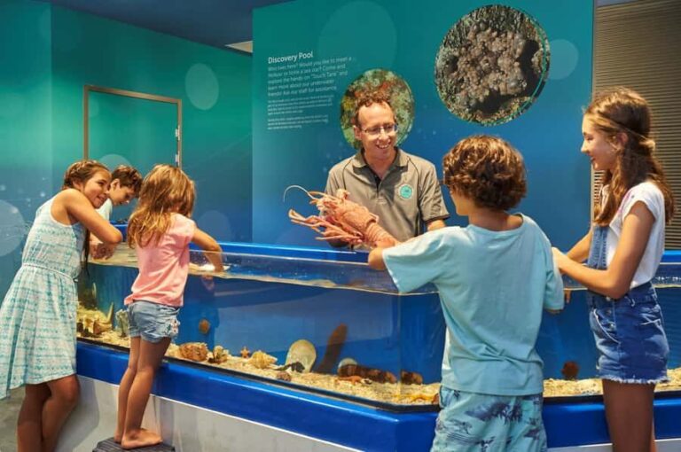 Marine Discovery Centre - What to Expect: A Step-by-Step Breakdown