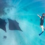 Marine Eco Safari - Swim with Manta Rays - Who Should Consider This Tour?