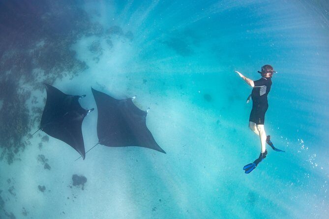 Marine Eco Safari - Swim with Manta Rays - Who Should Consider This Tour?
