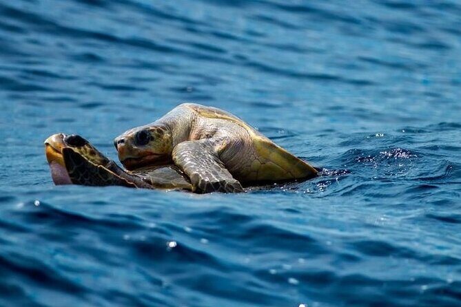 Marine Ecology Tour in La Paz Mexico - Who Will Love This Tour?
