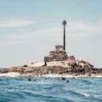 Marine Safari in La Ventana - Exploring the Marine Safari in La Ventana in Detail