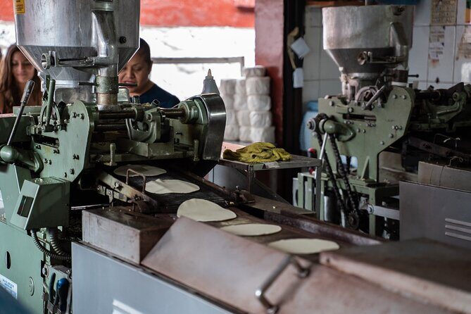 Market Visit and Mexican Cooking Class - Practical Details and Tips