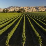 Marlborough Afternoon Wine Tour with Tastings - Who Will Love This Tour?