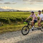 Marlborough: Full-Day Self-Guided Biking Wine Tour - Why This Tour Stands Out