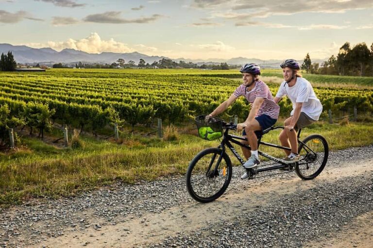 Marlborough: Full-Day Self-Guided Biking Wine Tour - Why This Tour Stands Out