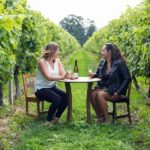 Marlborough Half Day Wine Tour From Blenheim 1.30pm - Itinerary Breakdown: What to Expect