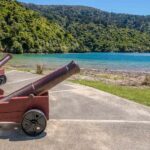 Marlborough Sounds and Ship Cove Cruise from Picton - Details that Matter