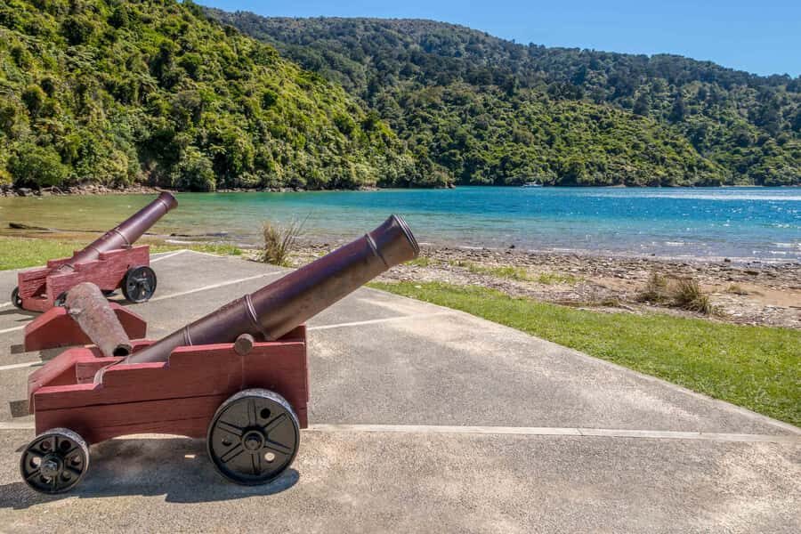 Marlborough Sounds and Ship Cove Cruise from Picton - Details that Matter
