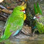 Marlborough Sounds Ultimate Cruise - Who Will Love This Tour?