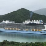 Marlborough Wine Region Tour from the Port of Picton - An Overview of the Marlborough Wine Region Tour