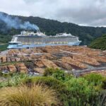 Marlborough Wine Tour - Picton Cruise Ship Shore Excursion Tour - Potential Drawbacks
