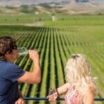 Marlborough: Wineries Visit with Tastings and 2-Course Lunch - The Lunch: A True Highlight