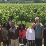 Martinborough Foodie Half Day Tour from Wellington - Pricing and Value