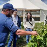Martinborough Wine and Food Tour with Lunch from Wellington - Starting Off: Pick-up and the Journey Begins