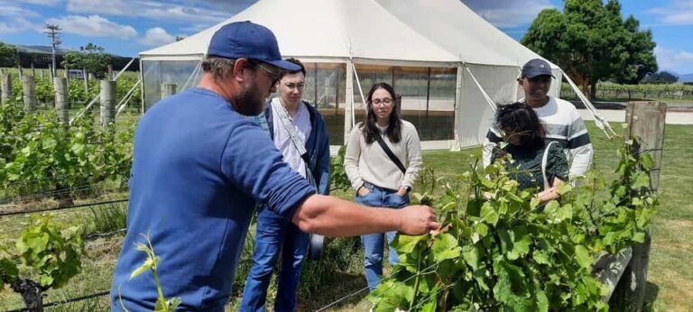 Martinborough Wine and Food Tour with Lunch from Wellington - Starting Off: Pick-up and the Journey Begins