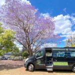 Mary Valley Tour with Mary Valley Rattler, Lunch and Kenilworth - Discovering Imbil and Its Charm