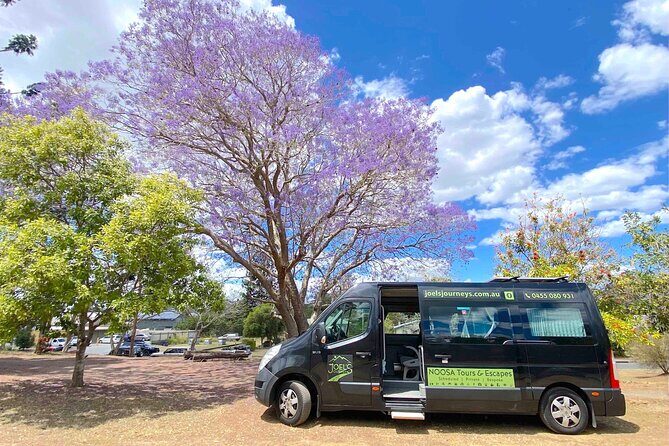 Mary Valley Tour with Mary Valley Rattler, Lunch and Kenilworth - Discovering Imbil and Its Charm